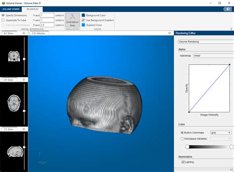 三维体查看器 查看三维体数据和已标注的三维体数据 Matlab