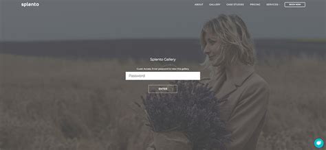 How Do Password Protected Galleries Work Splento Blog
