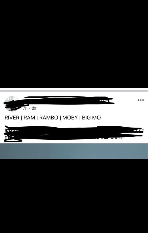 Big Mo And Bobbie Baer 🧸 Rtragedeigh