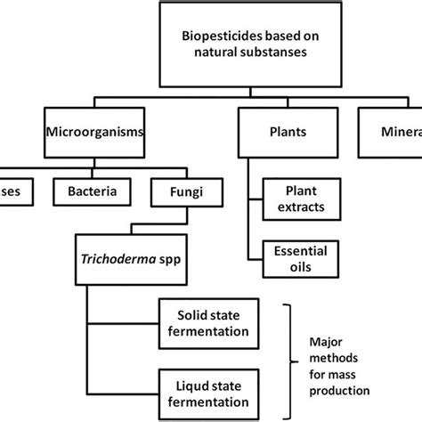 Schematic Representation Of The Different Types Biopesticides Based On