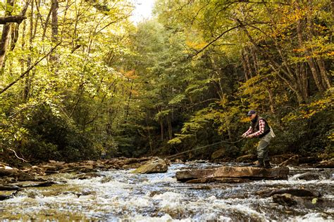 Wvdnr Completes Fall Trout Stockings Releases List Of Waters Stocked
