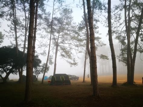 เที่ยวปีใหม่ “หนองแม่นา” ไปหาแสงแห่งสุข