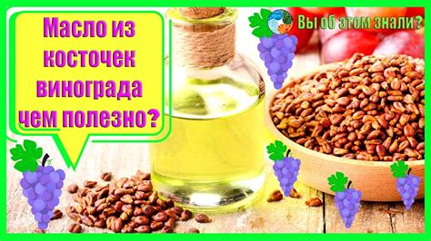 Масло из косточек винограда — чем полезно? - YouTube