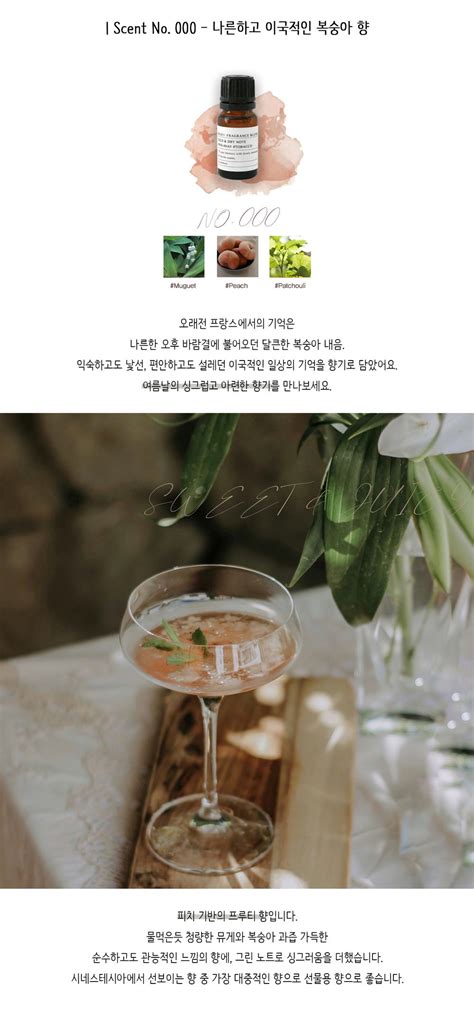 퍼퓸 샤쉐 감도 깊은 취향 셀렉트샵 29cm