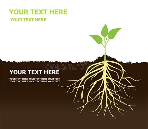Tree With Roots Under Soil Vector Plant Roots Soil