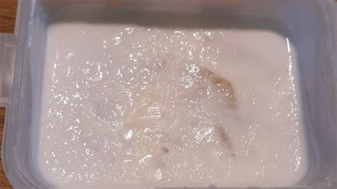 키위우유아이스크림먹방 2편에서만나욥 제가만들었어요 Youtube