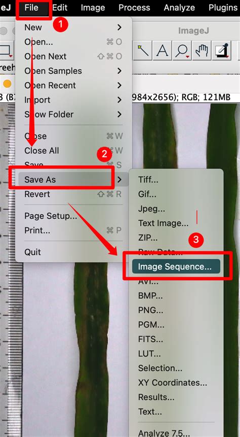 使用 Imagej 为你的照片添加比例尺 知乎