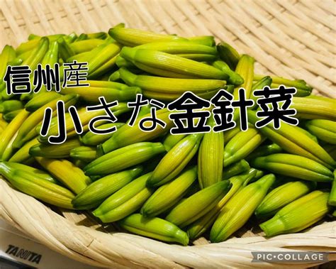 【信州産】初物＊小っちゃな金針菜 きんしんさい 150g 選別有 By メルカリ