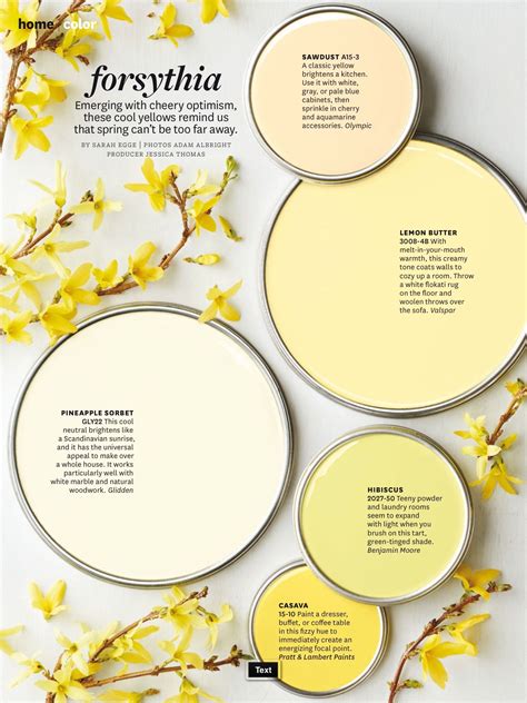 Buttery Yellow Paint Colors At Sabrina Swensen Blog