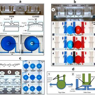 Active D Printed Microfluidic Components A Basic D Printed Valve