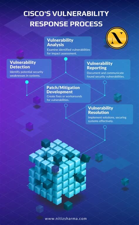 Cisco S Vulnerability Repository Comprehensive Analysis In