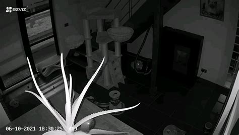 S5 Max Lidar And Cliff Sensors In Action R Roborock