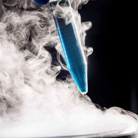Cryogenic Sensors Lng Archives Senmatic