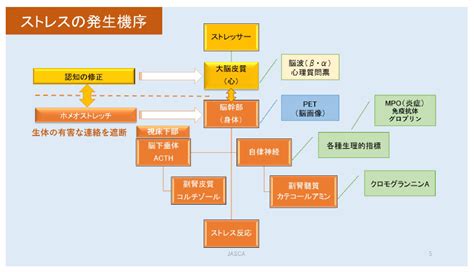 ストレスとは 一般社団法人 日本ストレスケアカウンセラー協会