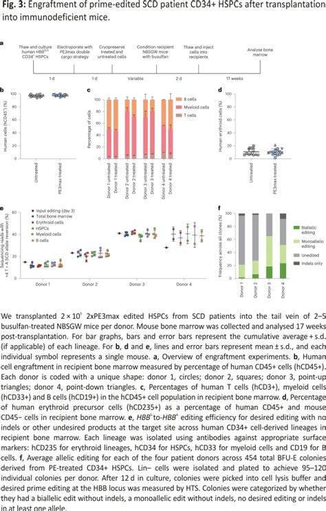 Ex Vivo Prime Editing Of Patient Haematopoietic Stem Cells Rescues