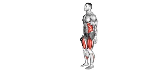 Dumbbell Plank Pass Through Ultimate Exercise Guide And Tips