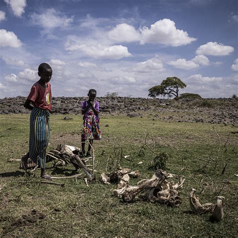 Kenya Says 6 Million People Food Insecure Amid Prolonged Dry Spell Cgtn
