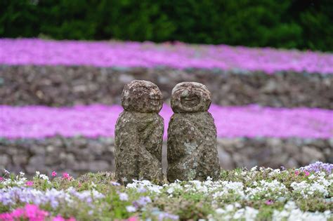 花のじゅうたんで芝桜を見てきたよ！4月中旬から5月中旬が見頃の癒しスポット さんだびより 三田がもっと楽しくなるwebメディア