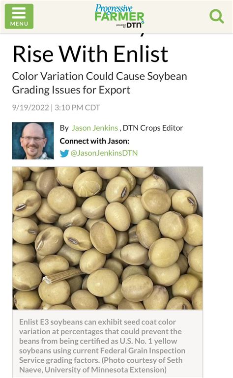 Color Variation Could Cause Soybean Grading Issues For Export Artigo