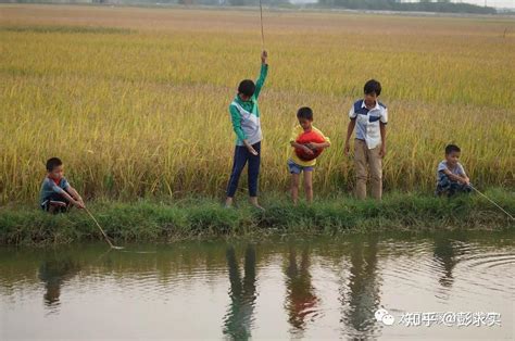 罗大佑《童年》 音乐里的故事59 知乎