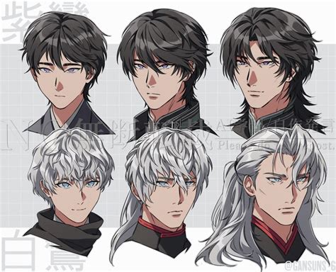 Roku Gansuns Bailuan Shin Sangoku Musou Ziluan Shin Sangoku Musou Shin Sangoku Musou