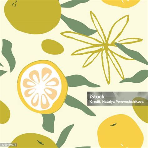 매끄러운 패턴 잘 익은 유자 과일 흰색 고립 된 배경에 노란색 과일의 만화 인쇄 손으로 그린 유기농 식품 아시아에서 신 감귤류 과일 건강한 식습관의 개념 유자에 대한 스톡