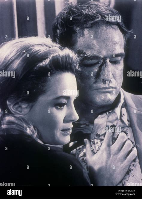 Angie Chases Instagram Twitter And Facebook On Idcrawl