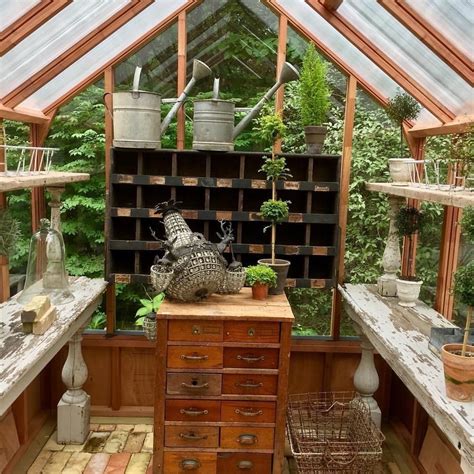 Greenhouse Interior With Lush Plants In Pots And Vases Rustic