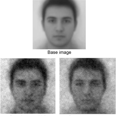 stimuli used in the reverse correlation paradigm base image and an