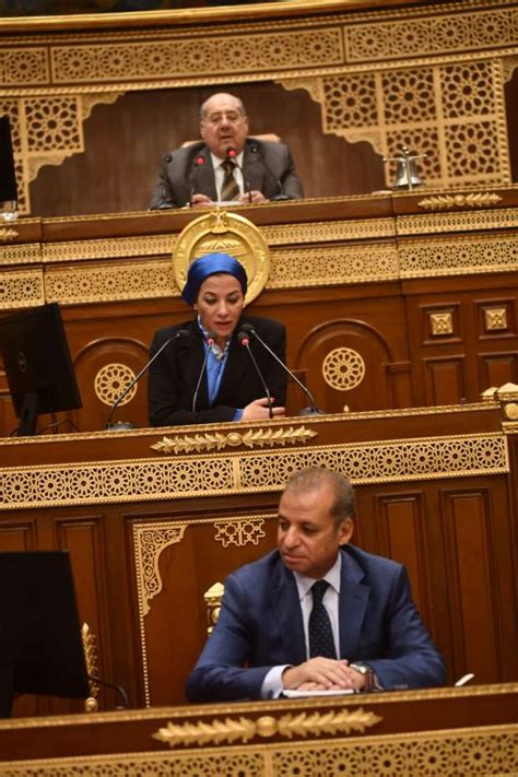 وزيرة البيئة تستعرض جهود الحد من التلوث لدفع التنمية الاقتصادية أمام