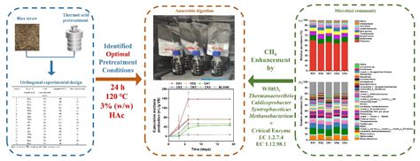 论文速递 我院谭倩教授课题组在Bioresource Technology发表最新成果 广东工业大学生态环境与资源学院