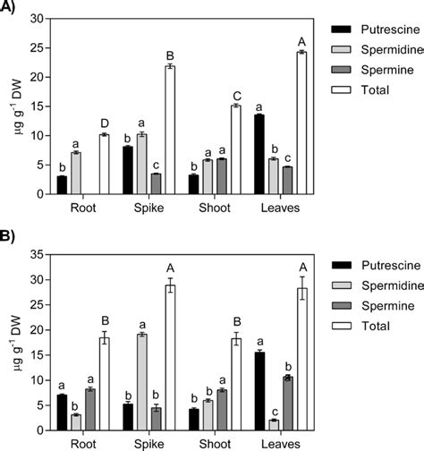 Quantification Of Polyamines Pas Putrescine Put Spermidine Spd Download Scientific