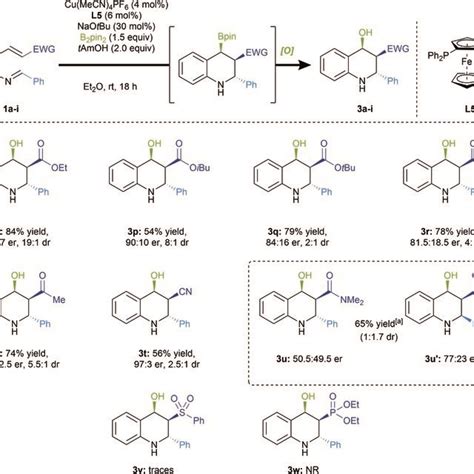 Sequential 14 Borylationmannich Cyclization Reaction Was Conducted Download Scientific