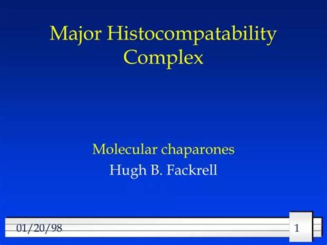 PPT Major Histocompatability Complex PowerPoint Presentation Free