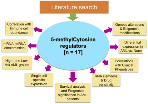 5 Methylcytosine Rna Modification Regulators Based Patterns And Features Of Immune