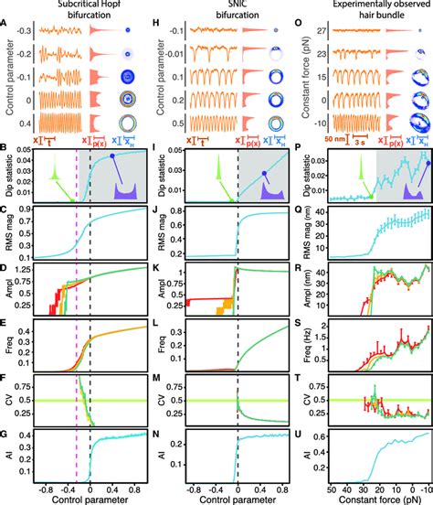 A Subcritical Hopf Or Snic Bifurcation At Low Stiffness A U We Download Scientific Diagram