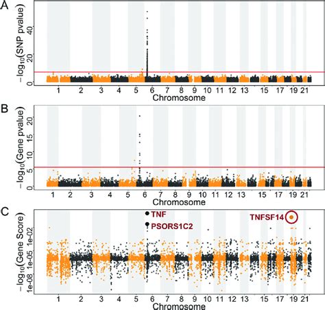 Manhattan Plots Of Gene Prioritization For Psoriasis A Manhattan