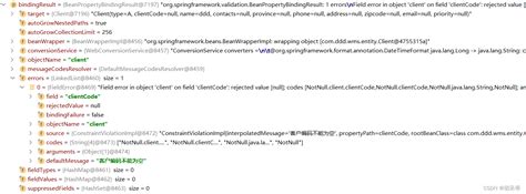 springboot 参数校验 springboot实体校验 胡呆蒂的博客 csdn博客