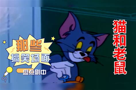 猫和老鼠笑不活了不得不说在整人这方面汤姆一定是第一 汤姆 方面