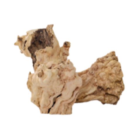 Java Cave Wood Borneo Aquatic
