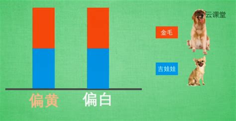 Python人工智能 六神经网络的评价指标、特征标准化和特征选择神经网络评价指标 Csdn博客