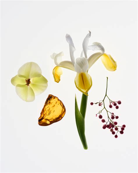 Glossier You Solid Refill Glossier You Solid Refill