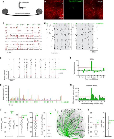Ebgabas Correlate With Population Synchrony And Show High Functional Download Scientific