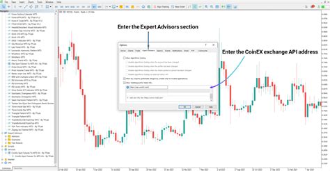 Connecting Coinex Spot Futures To Mt5 Service Free Download Trading Utility For Metatrader 5