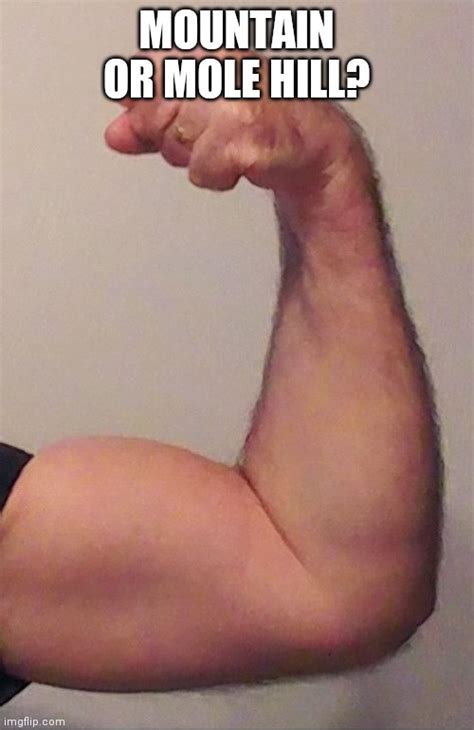 Flex Imgflip