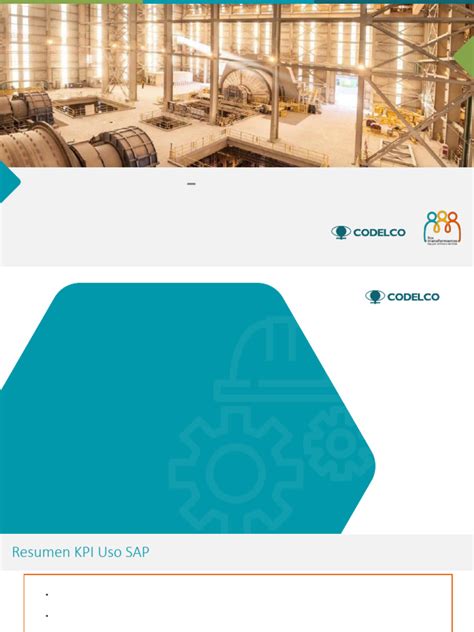 Modelo Kpi De Uso Sap 2024 V0 Pdf