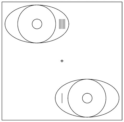 Stimuli Used In Experiment 2 With Each Of The Three Cue Conditions And