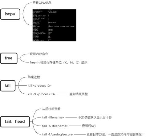 Linux基础命令xmind脑图ximnd的shell脚本 Csdn博客