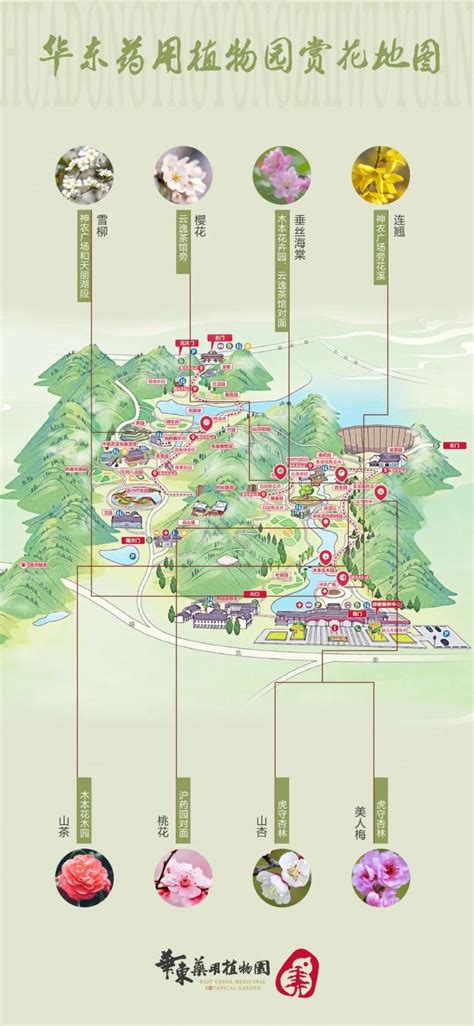 2023本草度假乐园 华东药用植物园 游玩攻略 门票价格 优惠政策 开园时间 电话 地址交通 介绍 天气 旅泊网