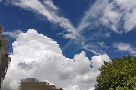 夏の雲 てこてこペンギン散歩